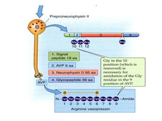Regulation of volume & tonicity of ecf | PPTX
