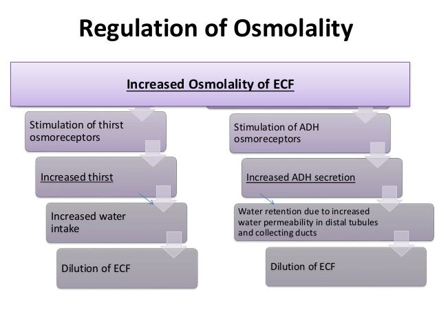 Regulation of volume & tonicity of ecf
