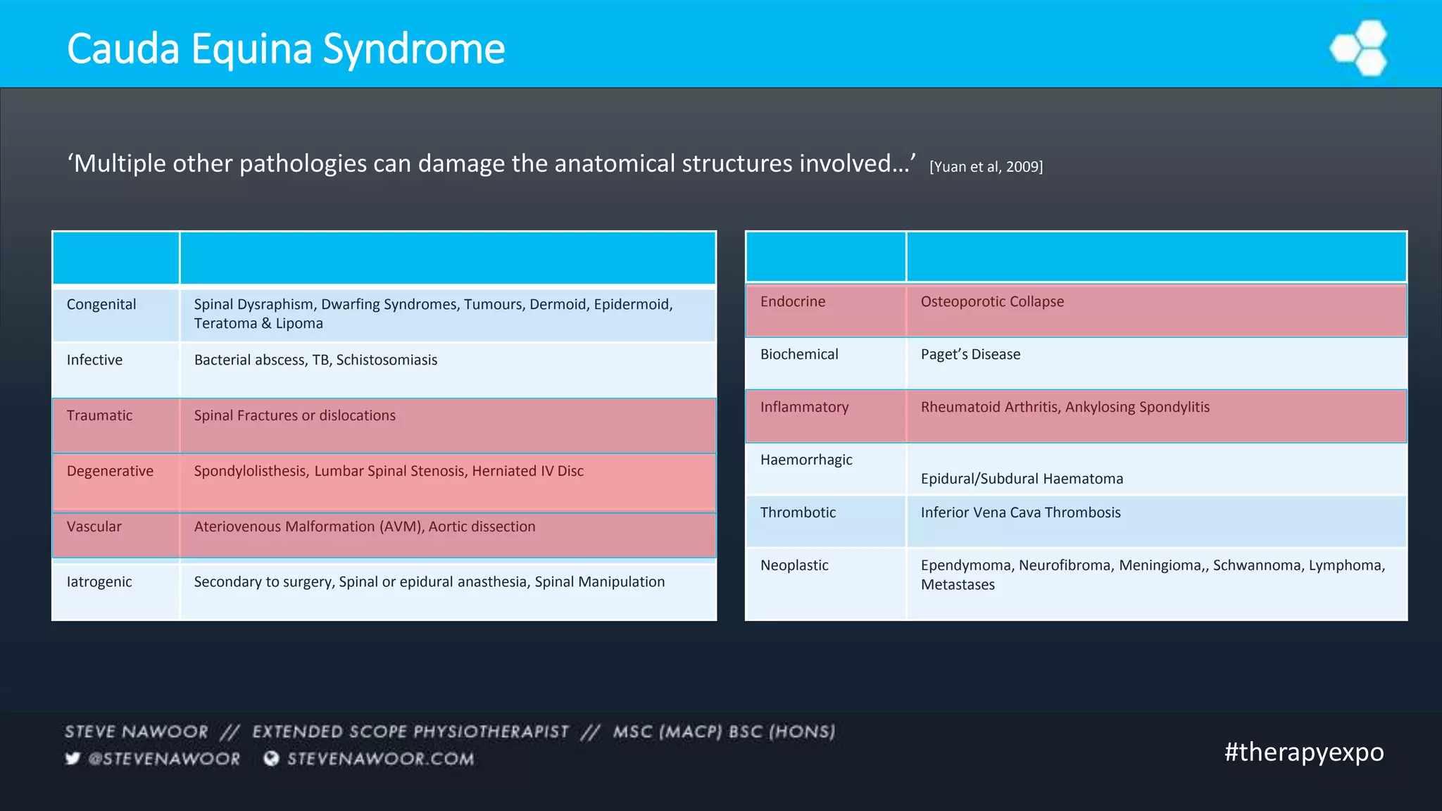 Musculoskeletal Masqeuraders - Rolling the 'Clinical Dice' | PPTX