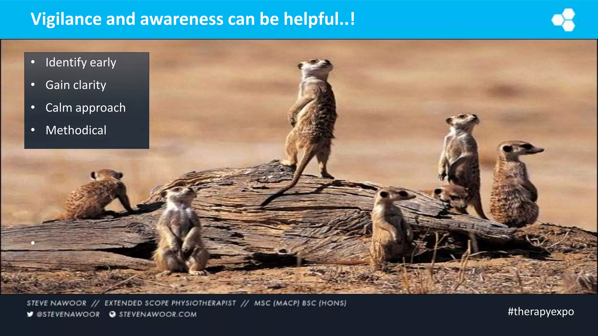 Musculoskeletal Masqeuraders - Rolling the 'Clinical Dice' | PPTX