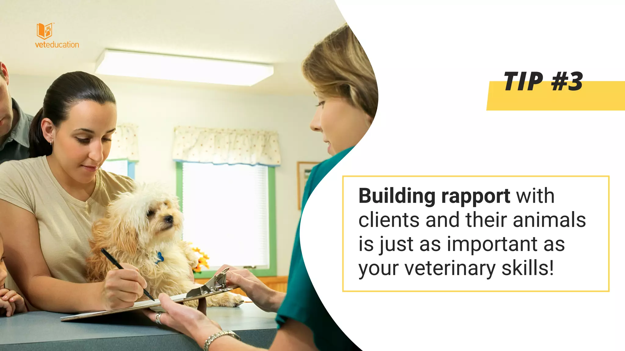 Top 10 Tips for Veterinary Graduates | PDF