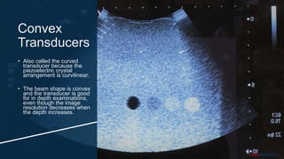 Ultrasound Transducer Types | PPTX