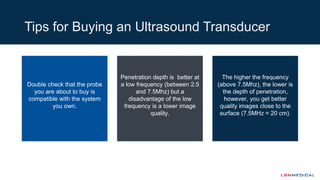 Curvilinear Probe Ultrasound Slide