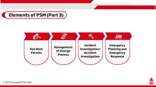 Process Safety Management - A Comprehensive Guide | PDF