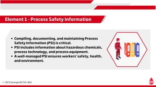 THE 14 ELEMENTS OF PROCESS SAFETY MANAGEMENT | PDF