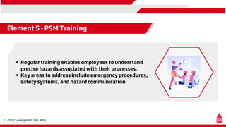 THE 14 ELEMENTS OF PROCESS SAFETY MANAGEMENT | PDF