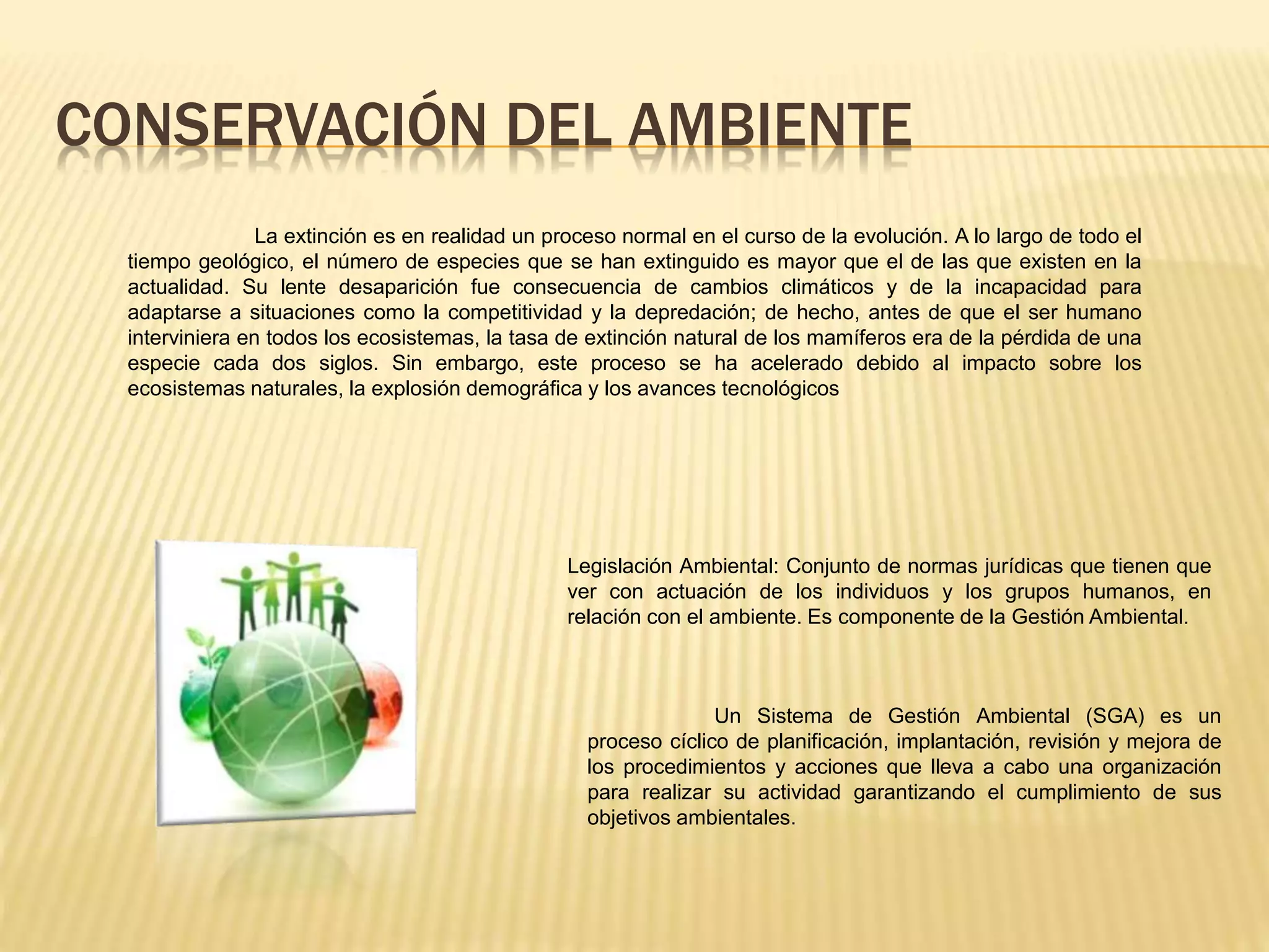 conservacion del ambiente | PPTX