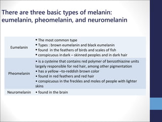 suntan | PPT