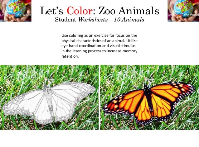 Let's Color: Zoo Animals