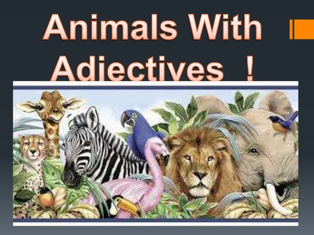 Animals with adjectives ! | PPTX | Cats | Pets