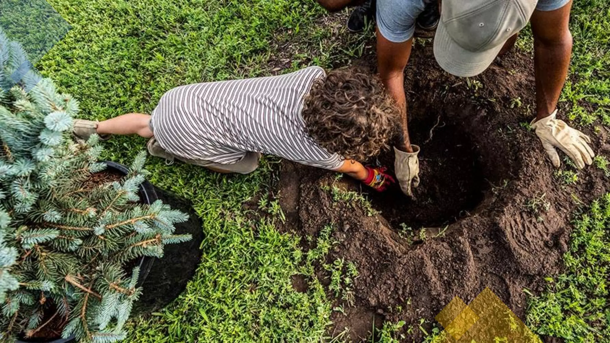 Black Hills Energy - Stewardship & safety in our communities | PPT