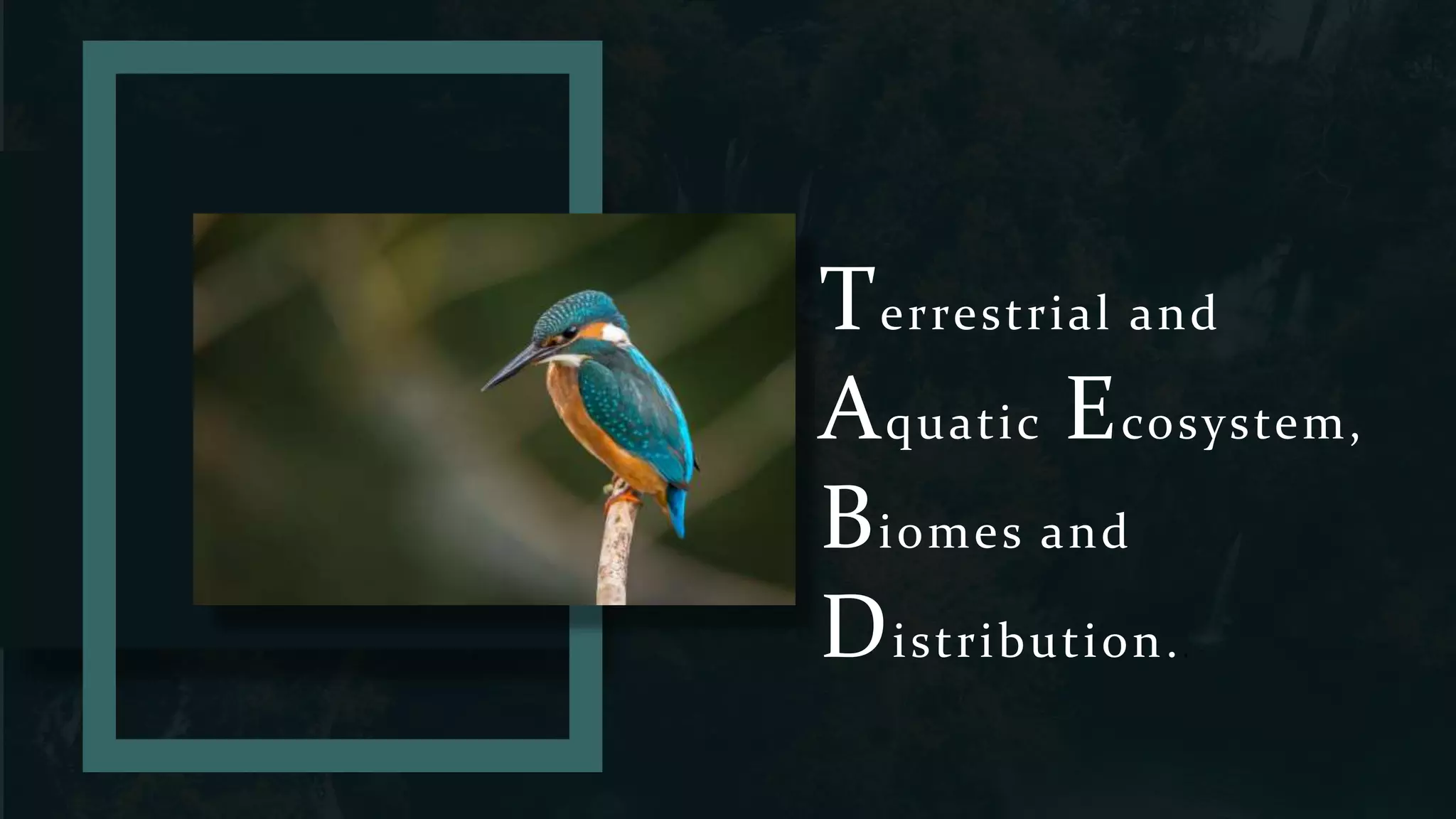 Terrestrial and Aquatic Ecosystem, Biomes and distribution | PPTX