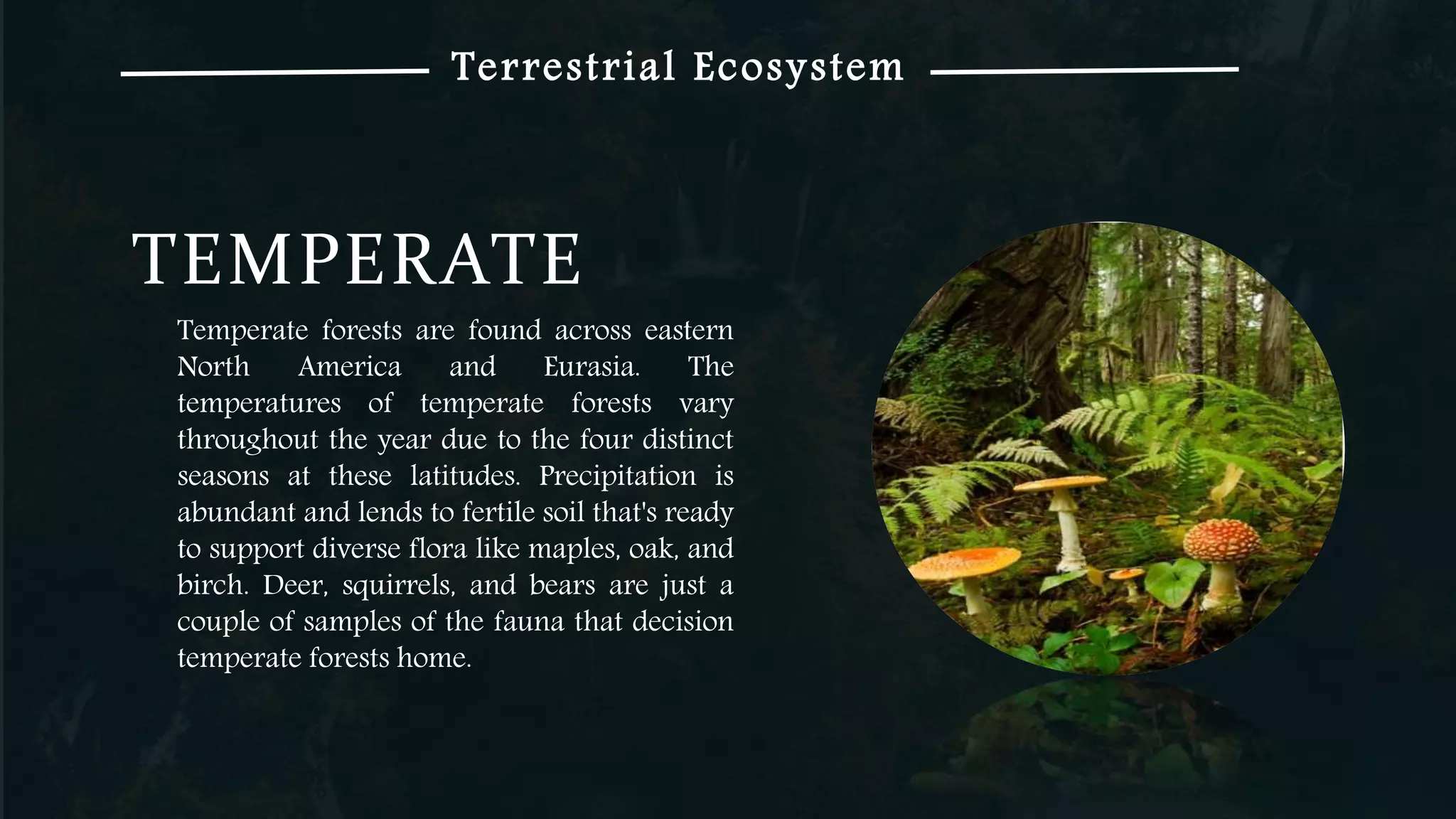 Terrestrial and Aquatic Ecosystem, Biomes and distribution | PPTX