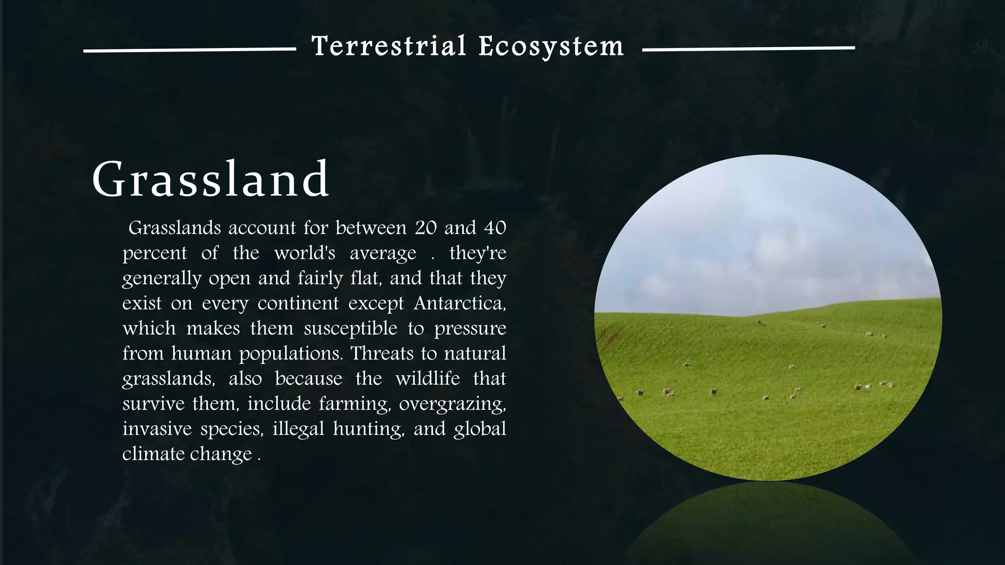 Terrestrial and Aquatic Ecosystem, Biomes and distribution | PPTX