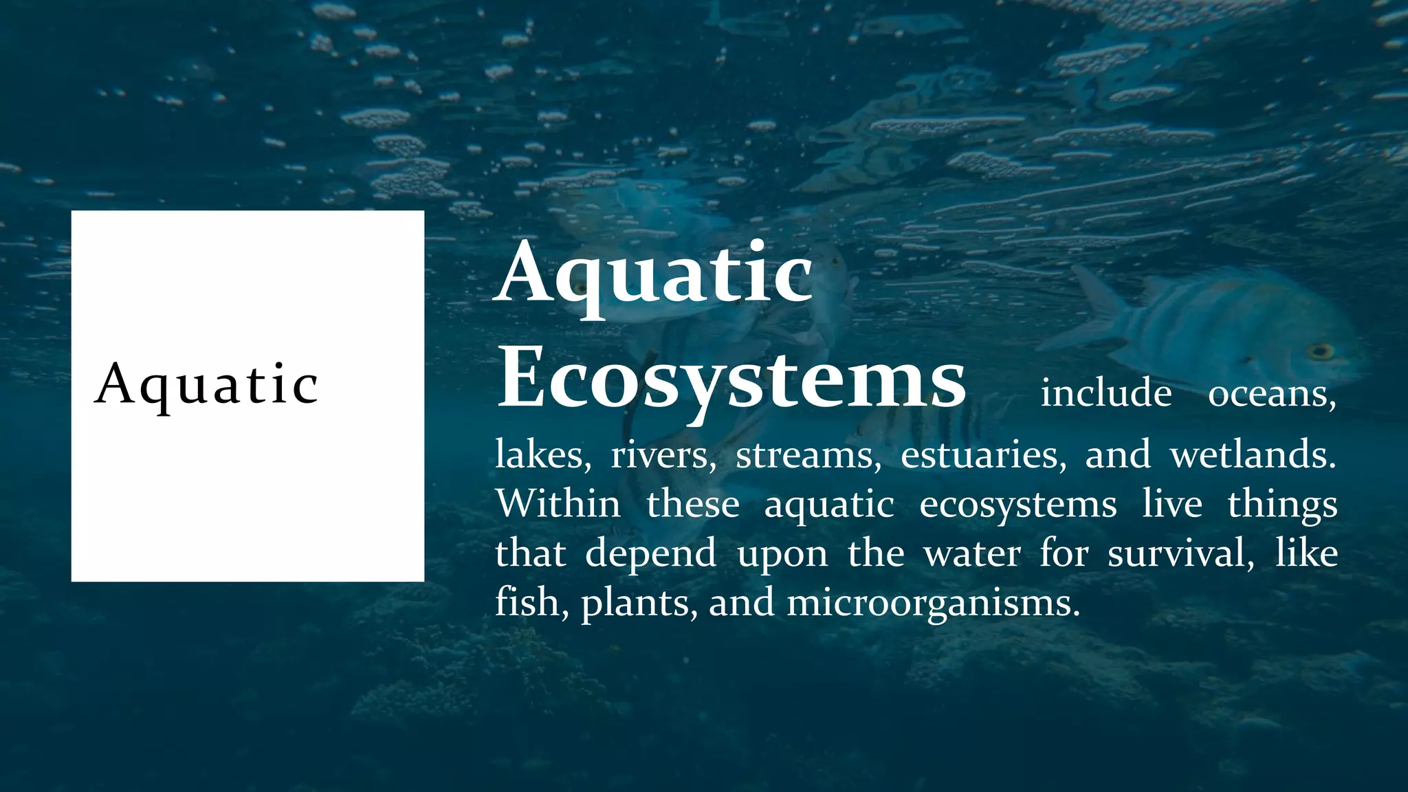 Terrestrial and Aquatic Ecosystem, Biomes and distribution | PPTX