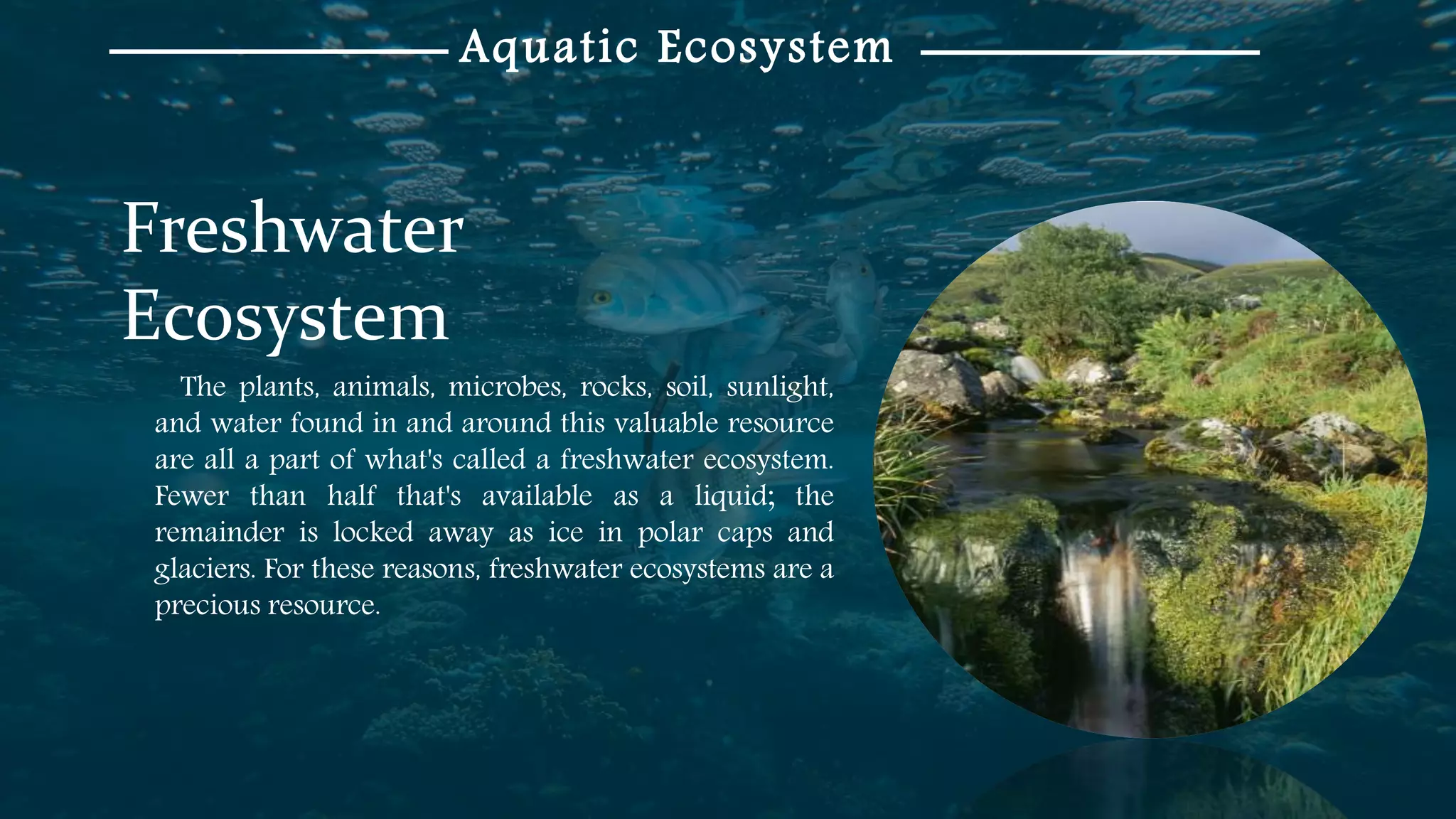 Terrestrial and Aquatic Ecosystem, Biomes and distribution | PPTX