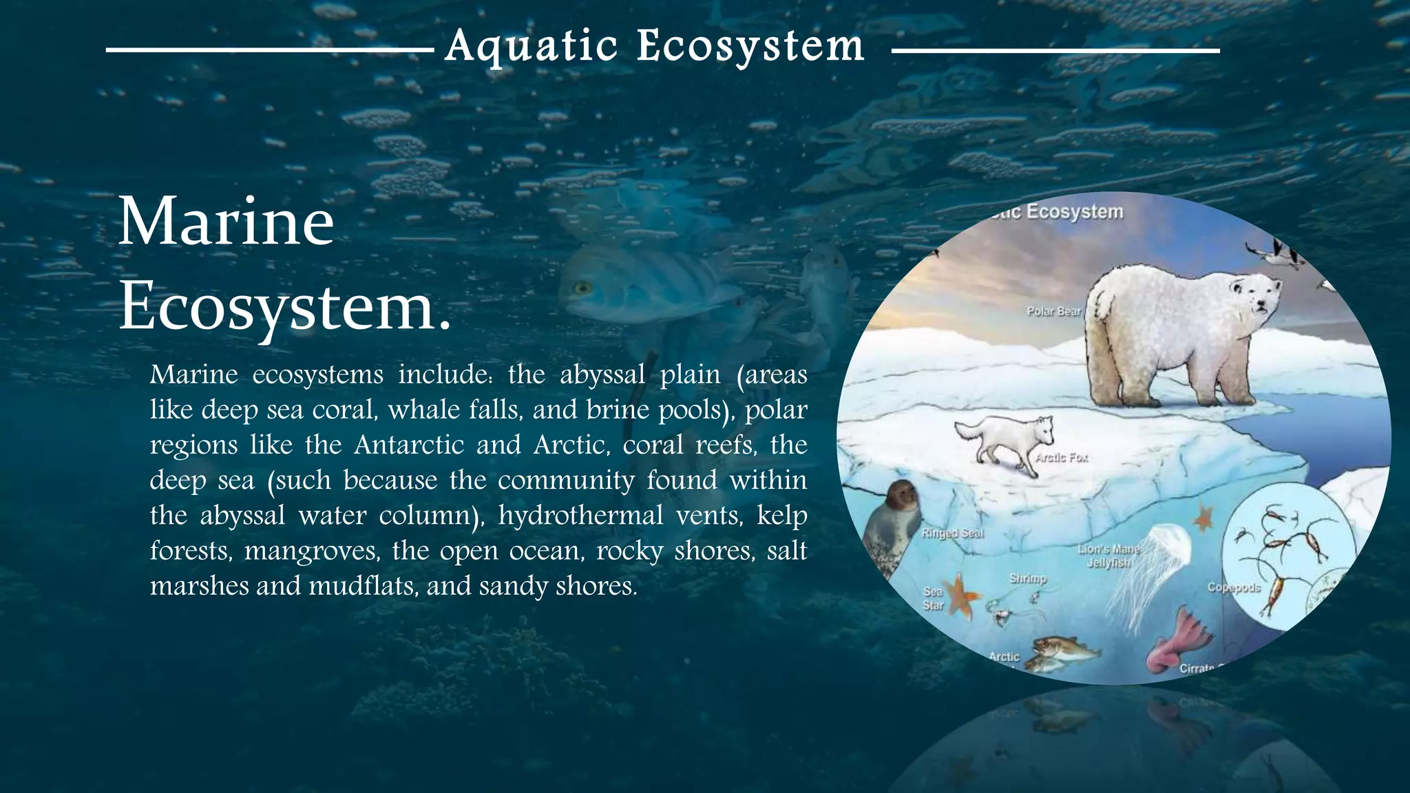 Terrestrial and Aquatic Ecosystem, Biomes and distribution | PPTX