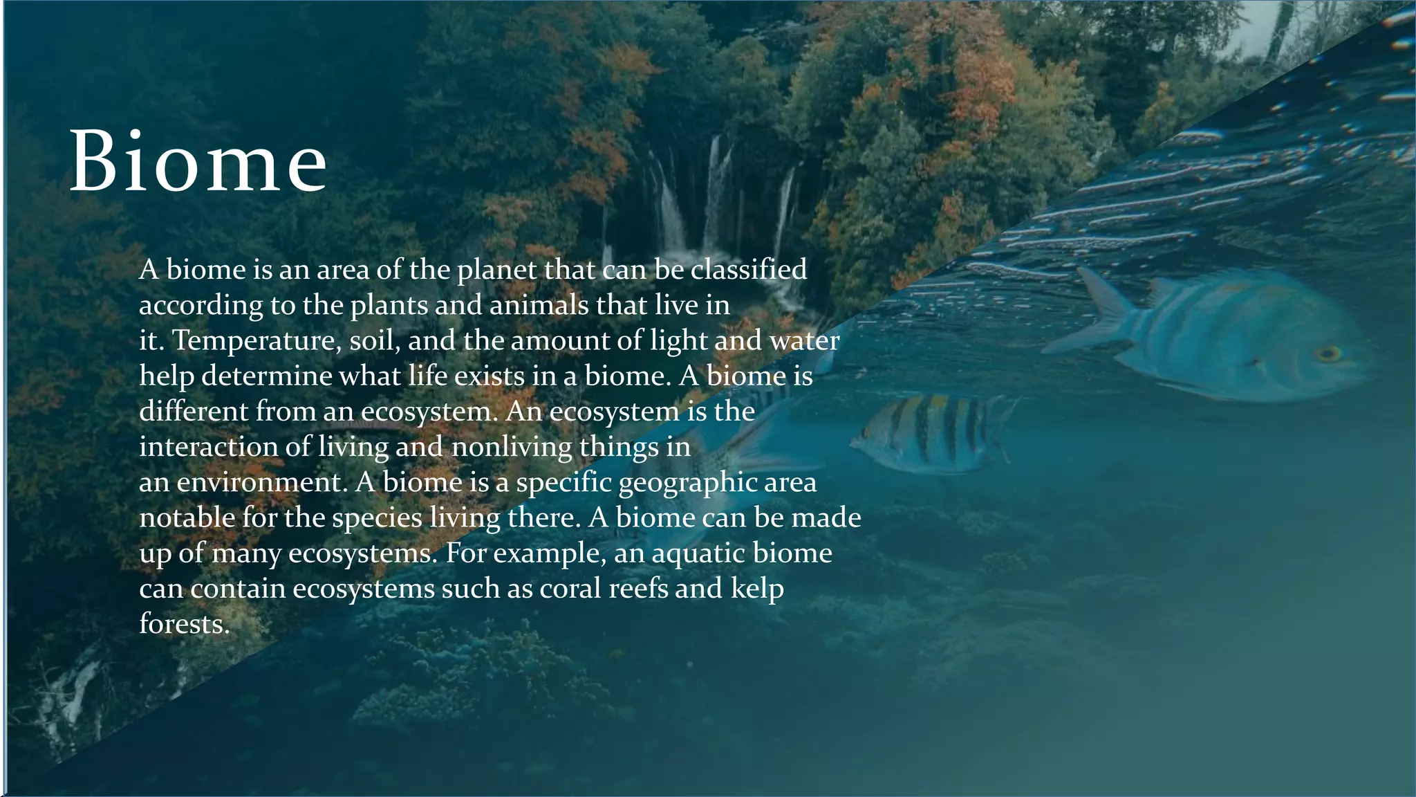 Terrestrial and Aquatic Ecosystem, Biomes and distribution | PPTX