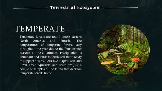 Terrestrial and Aquatic Ecosystem, Biomes and distribution | PPTX