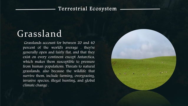 Terrestrial and Aquatic Ecosystem, Biomes and distribution | PPTX