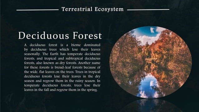 Terrestrial and Aquatic Ecosystem, Biomes and distribution | PPTX