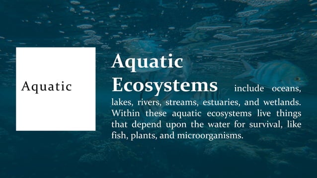 Terrestrial and Aquatic Ecosystem, Biomes and distribution | PPTX