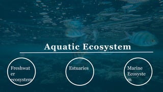 Terrestrial and Aquatic Ecosystem, Biomes and distribution | PPTX