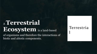 Terrestrial and Aquatic Ecosystem, Biomes and distribution | PPTX