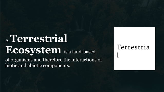 Terrestrial and Aquatic Ecosystem, Biomes and distribution | PPTX