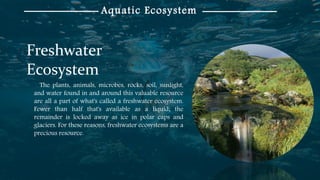 Terrestrial and Aquatic Ecosystem, Biomes and distribution | PPTX