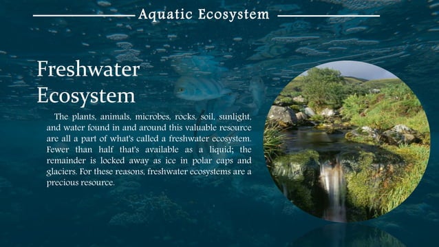 Terrestrial and Aquatic Ecosystem, Biomes and distribution | PPTX