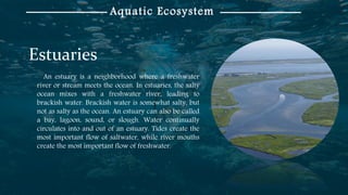 Terrestrial and Aquatic Ecosystem, Biomes and distribution | PPTX