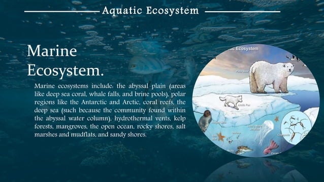 Terrestrial and Aquatic Ecosystem, Biomes and distribution | PPTX