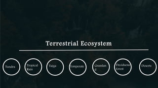 Terrestrial and Aquatic Ecosystem, Biomes and distribution | PPTX