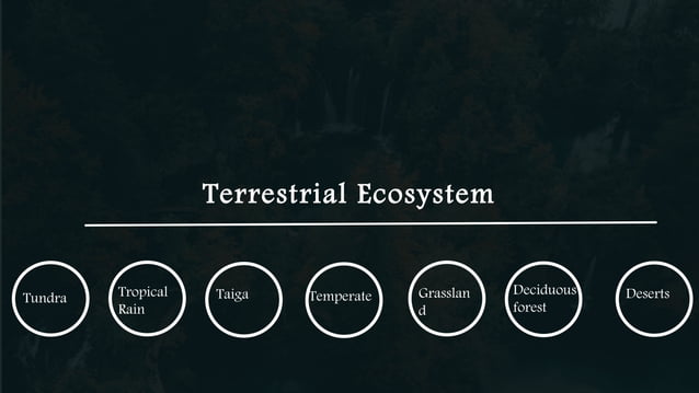 Terrestrial and Aquatic Ecosystem, Biomes and distribution | PPTX