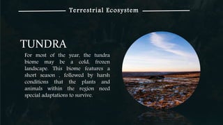 Terrestrial and Aquatic Ecosystem, Biomes and distribution | PPTX