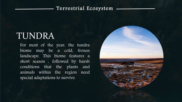 Terrestrial and Aquatic Ecosystem, Biomes and distribution | PPTX