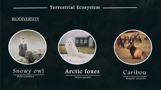 Terrestrial and Aquatic Ecosystem, Biomes and distribution | PPTX