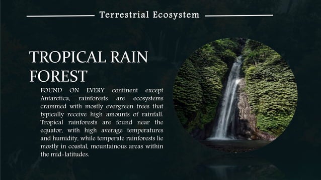 Terrestrial and Aquatic Ecosystem, Biomes and distribution | PPTX