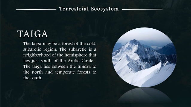 Terrestrial and Aquatic Ecosystem, Biomes and distribution | PPTX