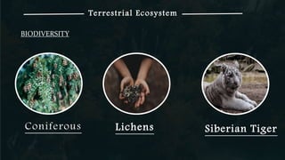 Terrestrial and Aquatic Ecosystem, Biomes and distribution | PPTX