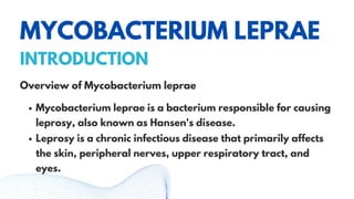 MycoBACTERIUM leprae - Microbiology - Presentation | PDF