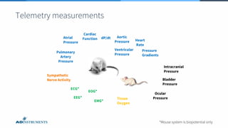 Telemetry 101: Exploring the New ADInstruments’ Small Animal Telemetry ...