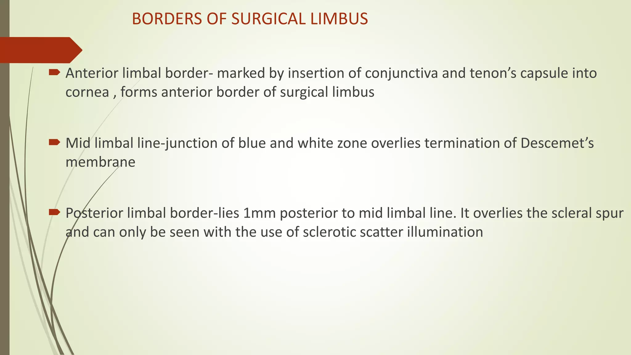 Cornea anatomy simplified | PPTX