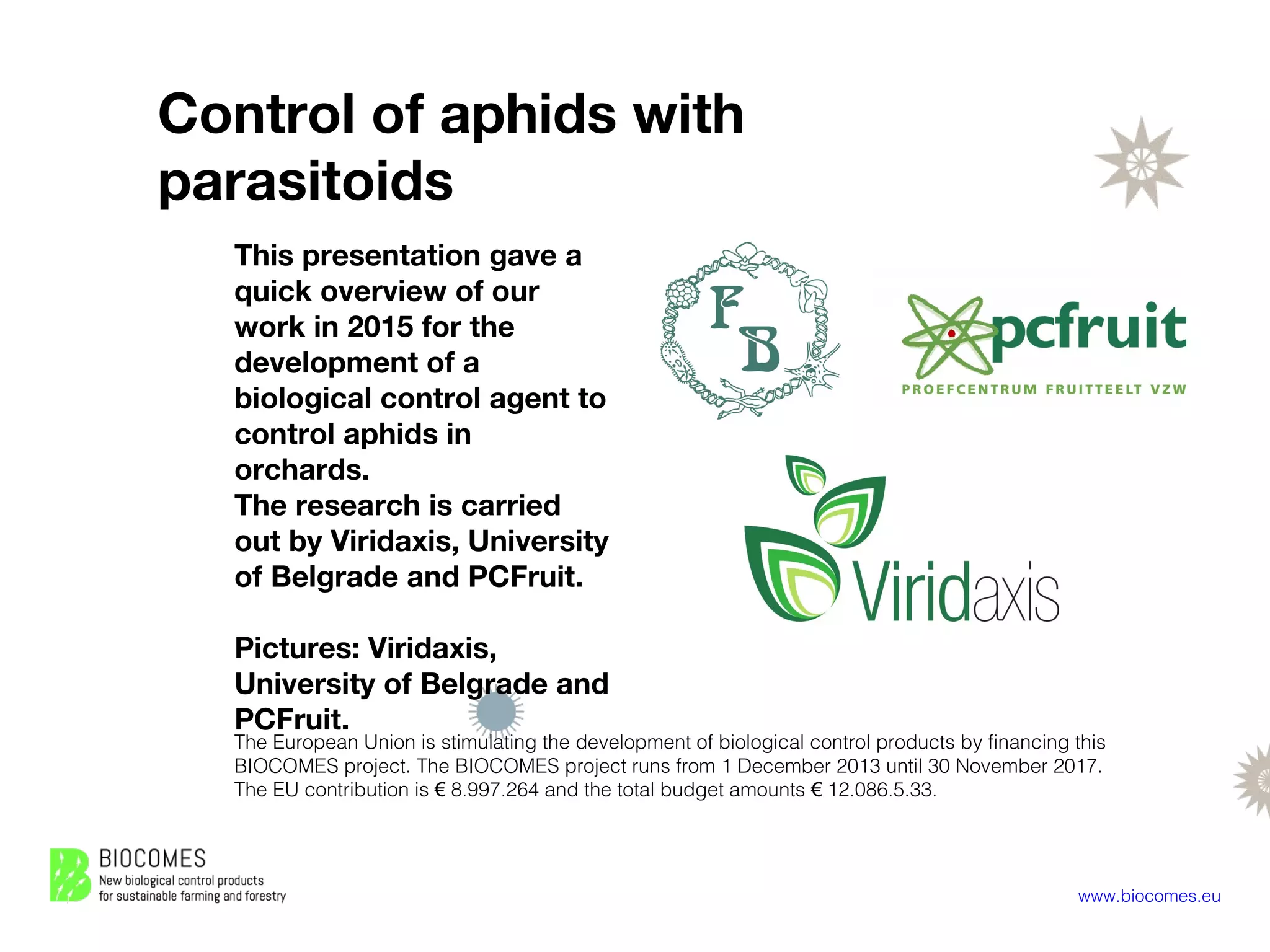 Control of aphids with parasitoids | PPT