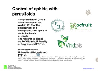 Control of aphids with parasitoids | PPT