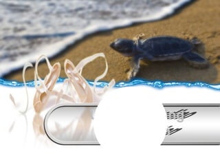 AP Psych Motivation | PPT