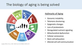 Targeting Biological Aging: A New Paradigm for 21st Century Medicine | PDF