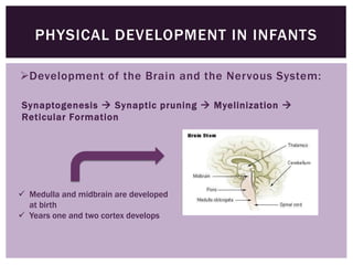 Slide Share Assignment | PPTX | Parenting Babies and Toddlers | Parenting