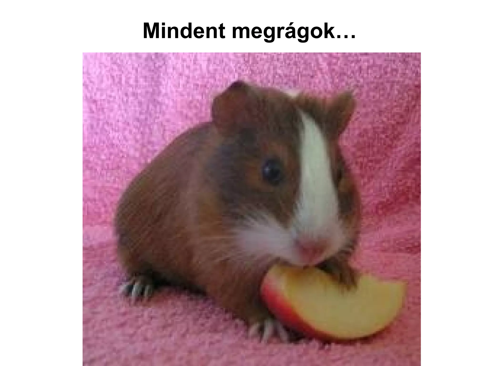 Slideshare bem | PPT